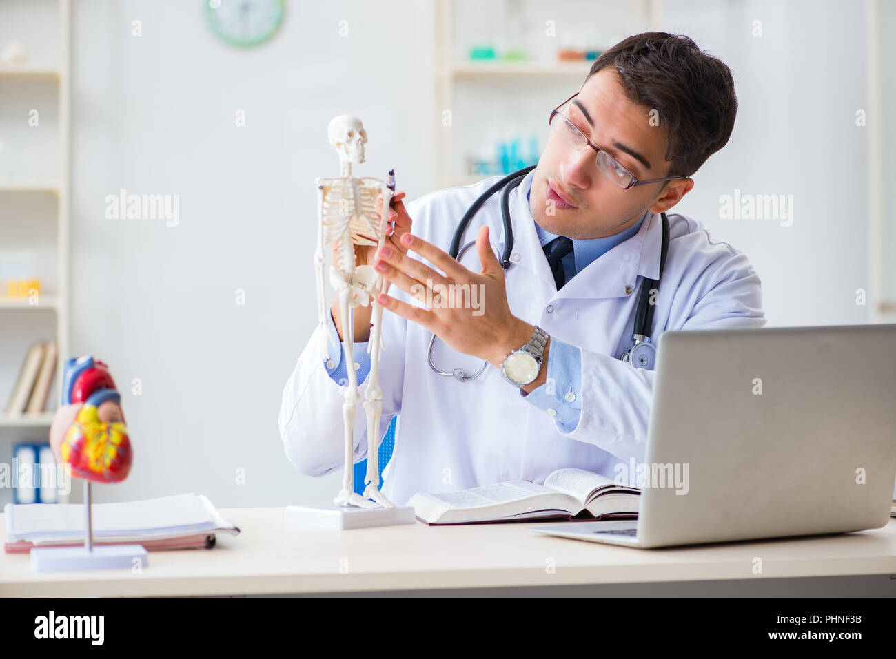 Doctor student studying the bones of skeleton Stock Photo - Alamy