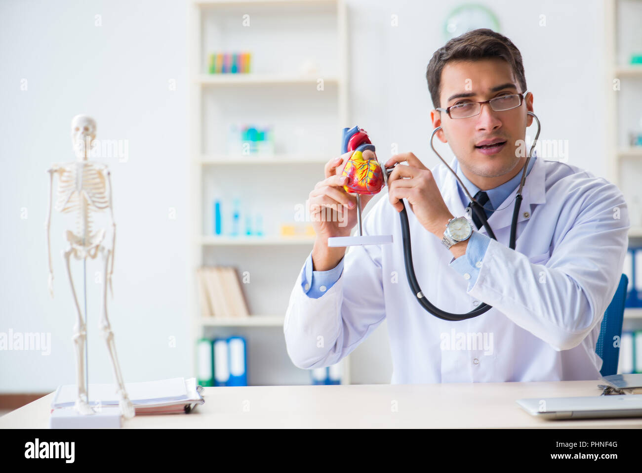 Doctor explaining the heart model Stock Photo - Alamy