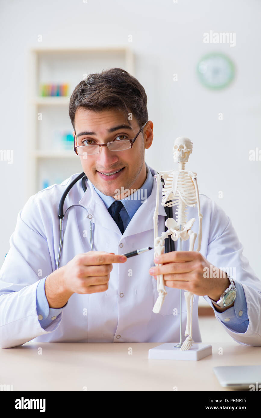 Doctor student studying the bones of skeleton Stock Photo - Alamy
