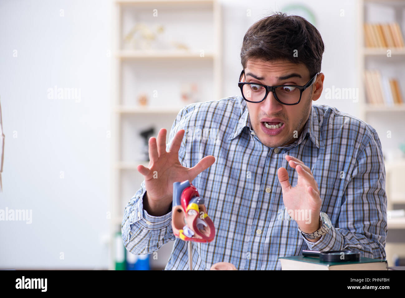Student studying various parts of heart Stock Photo - Alamy