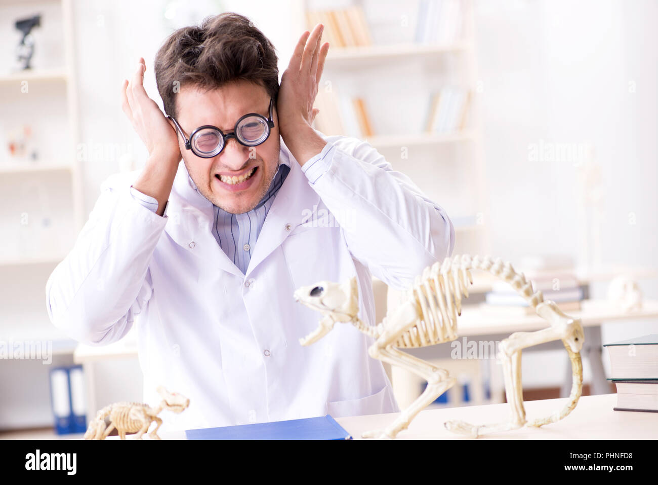 Funny crazy student doctor studying animal skeleton Stock Photo - Alamy