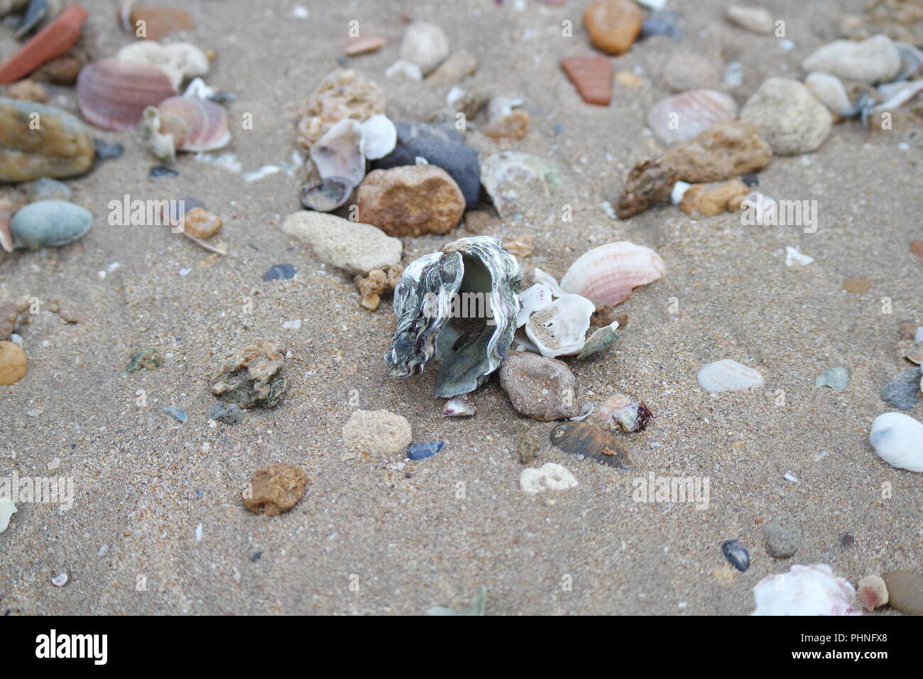 Strandschmuck hi-res stock photography and images - Alamy