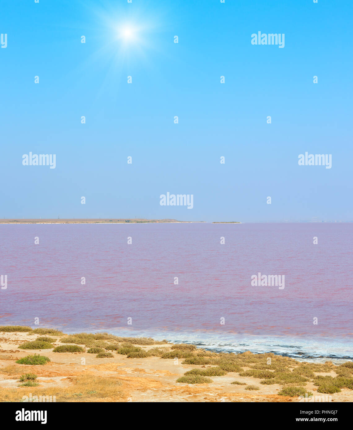 Pink salty Syvash Lake, Ukraine Stock Photo - Alamy