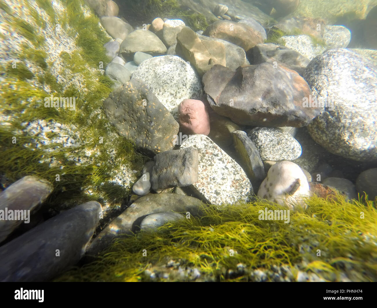 underwater river rocks being washed by mountain stream Stock Photo - Alamy