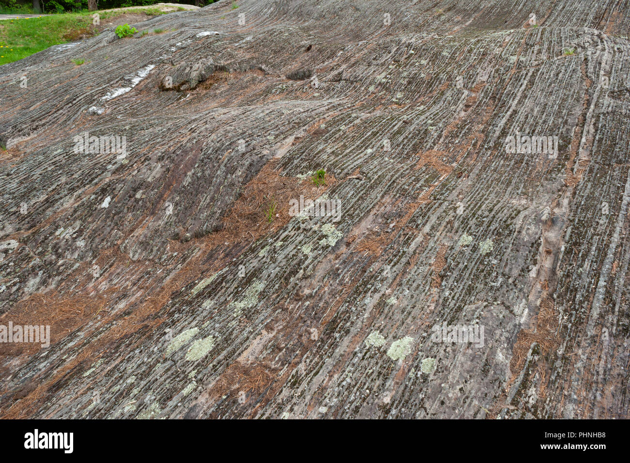 Metamorphic rock quartz detail hi-res stock photography and images - Alamy