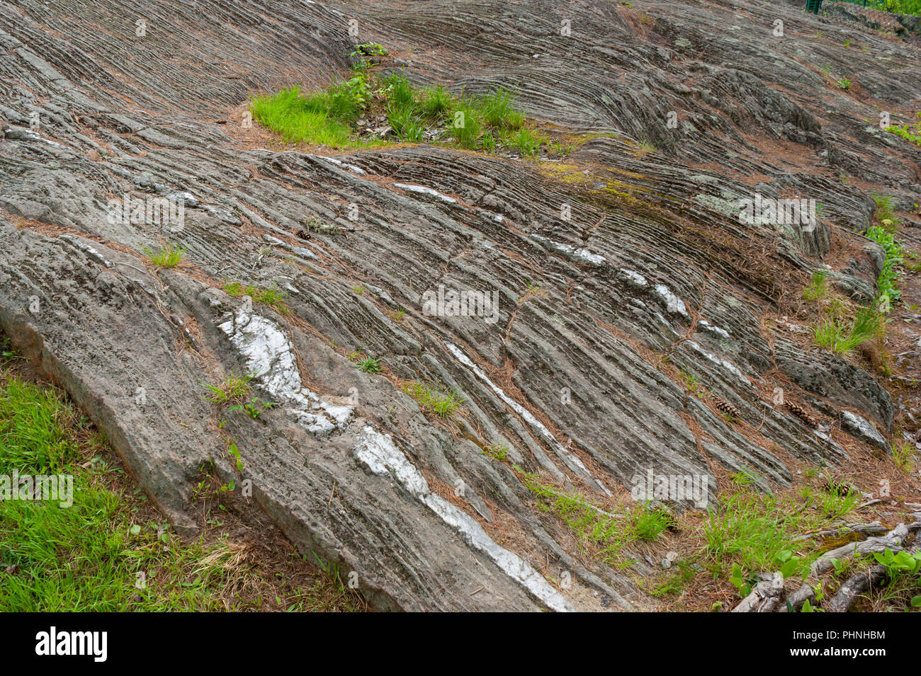 Metamorphic rock quartz detail hi-res stock photography and images - Alamy