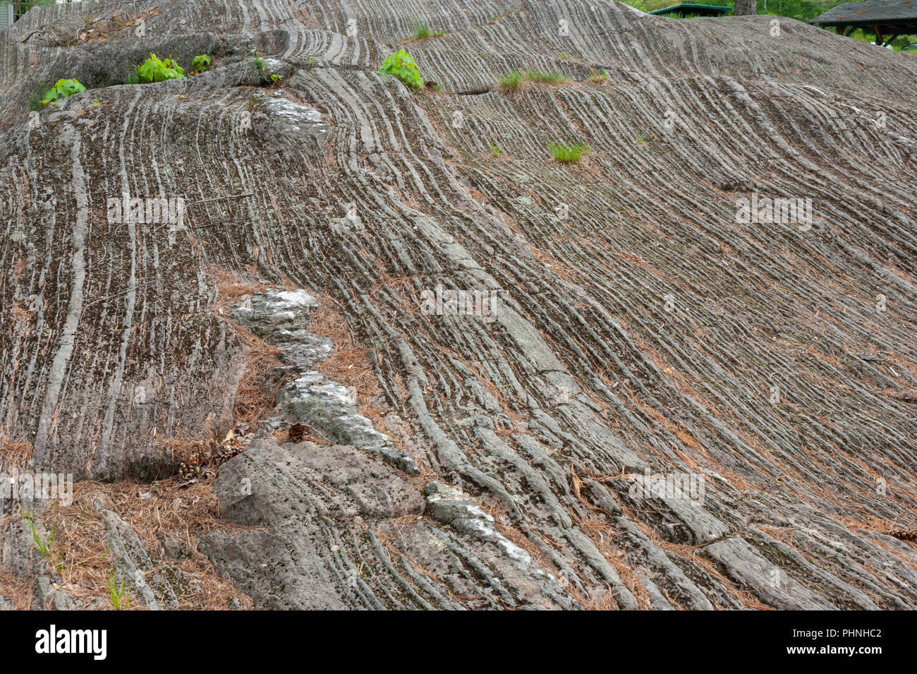 Metamorphic rock weathering patterns - Coos Canyon, Maine, US ...