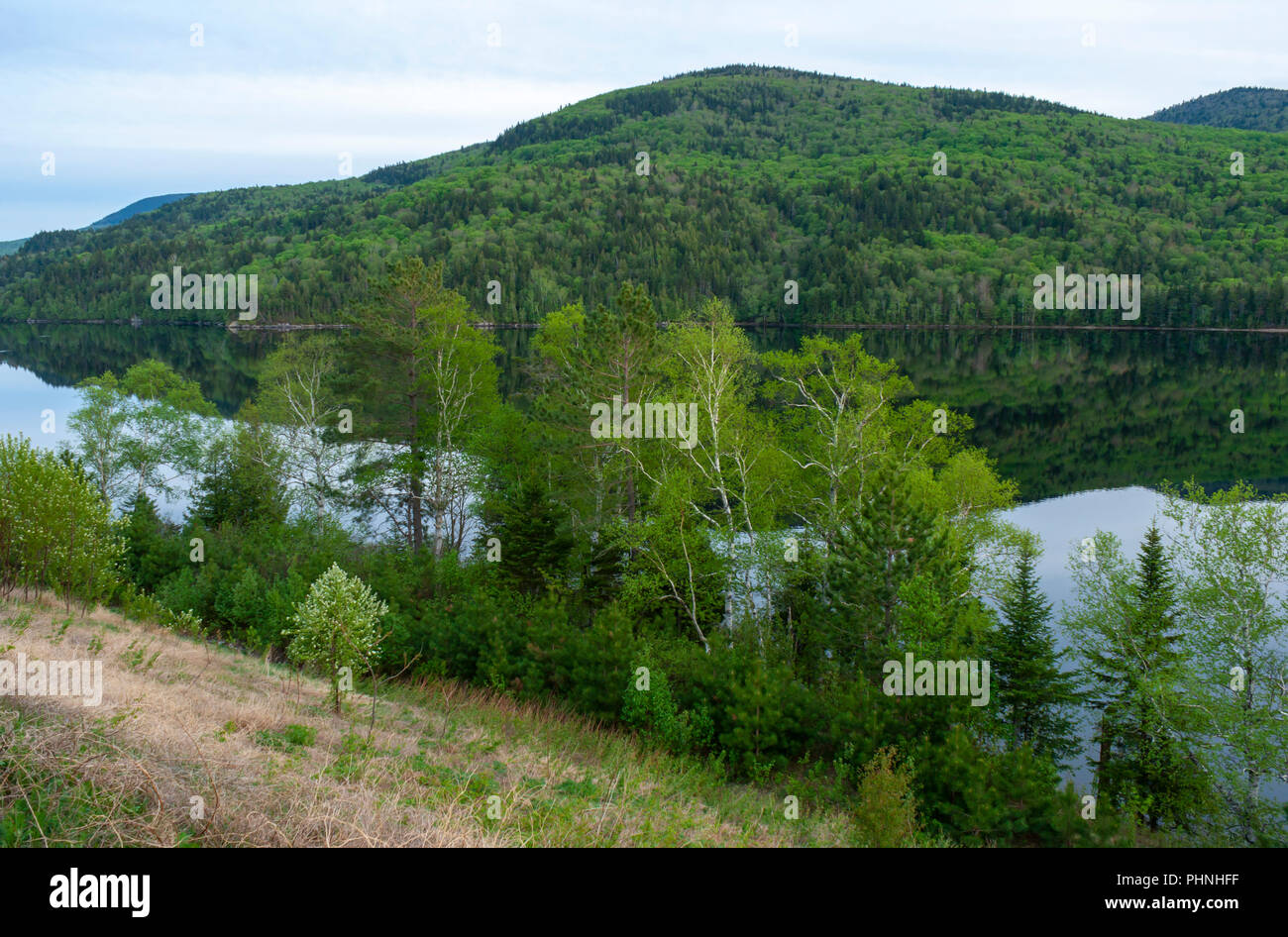 Chain of ponds hi-res stock photography and images - Alamy