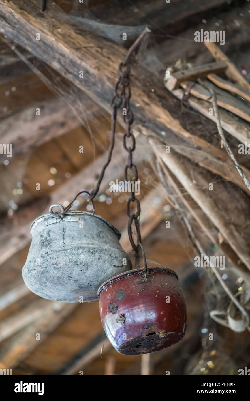 Spider container hi-res stock photography and images - Alamy