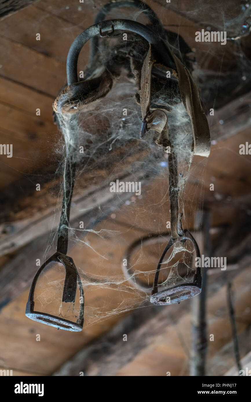 Old harness covered in spider web Stock Photo - Alamy