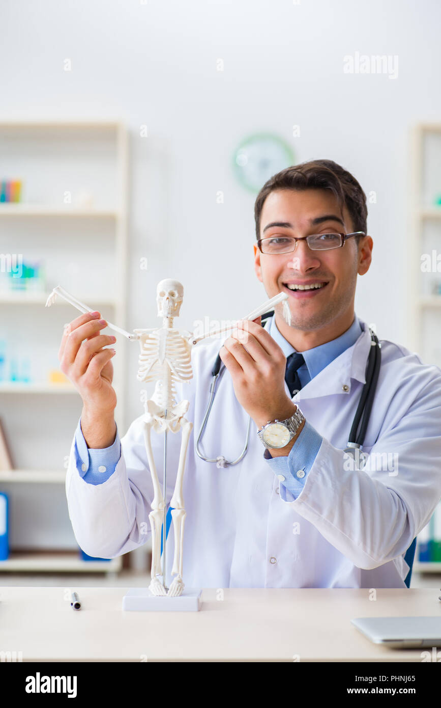 Doctor student studying the bones of skeleton Stock Photo - Alamy