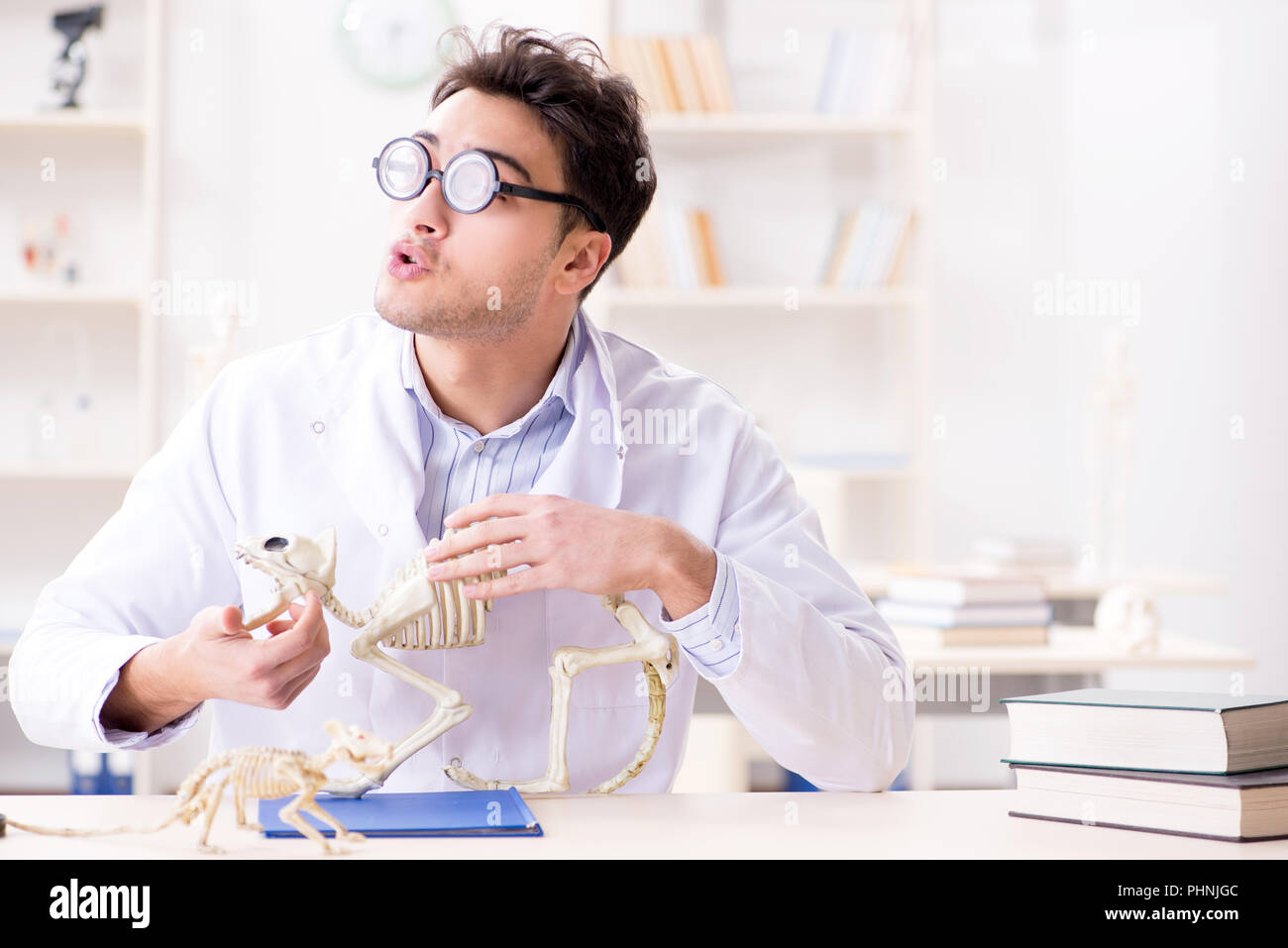Funny crazy student doctor studying animal skeleton Stock Photo - Alamy