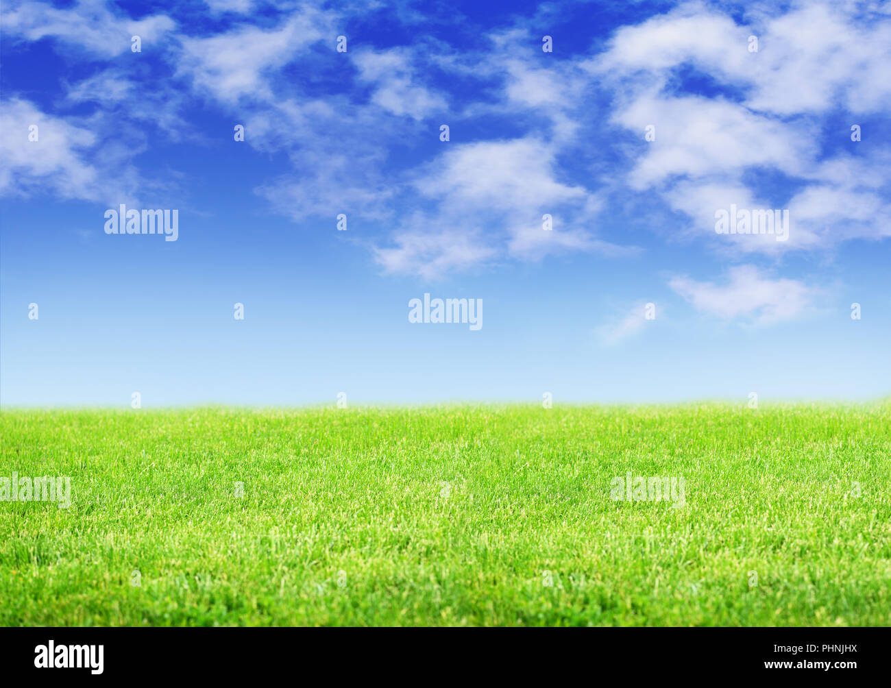 Green fileld of grass and blue sky for nature background Stock Photo ...