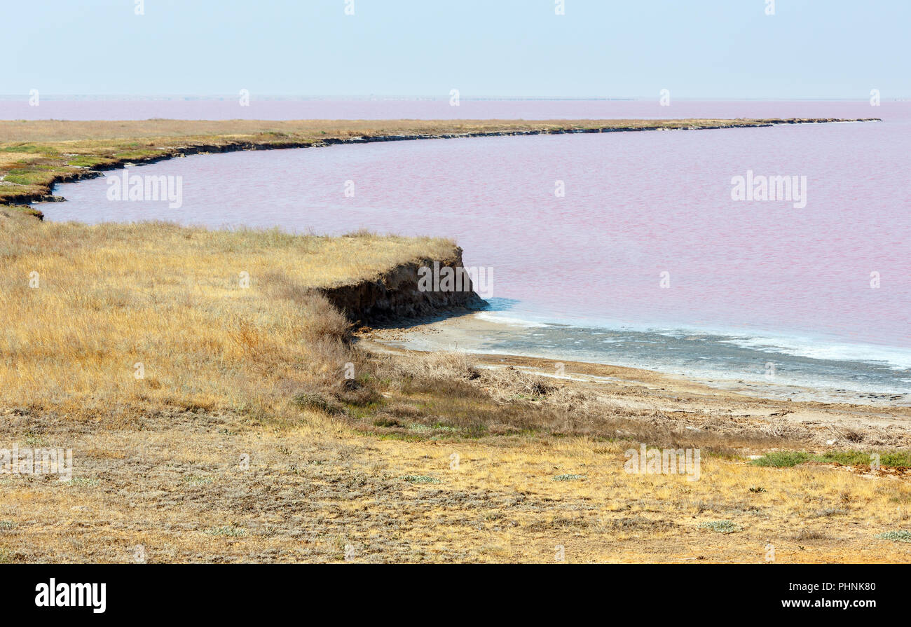 Pink salty Syvash Lake, Ukraine Stock Photo - Alamy
