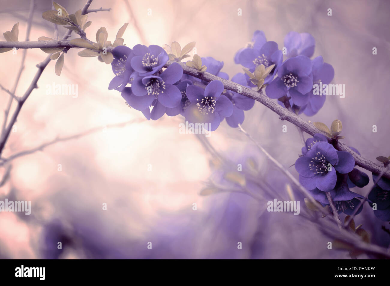 Ambience hi-res stock photography and images - Alamy