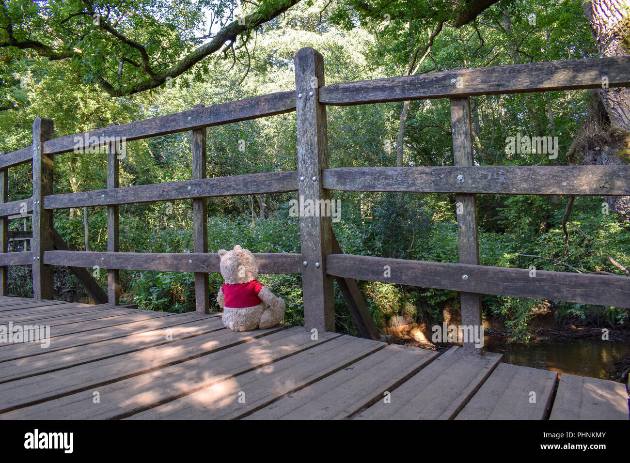 Pooh sticks bridge ashdown forest hi-res stock photography and images ...