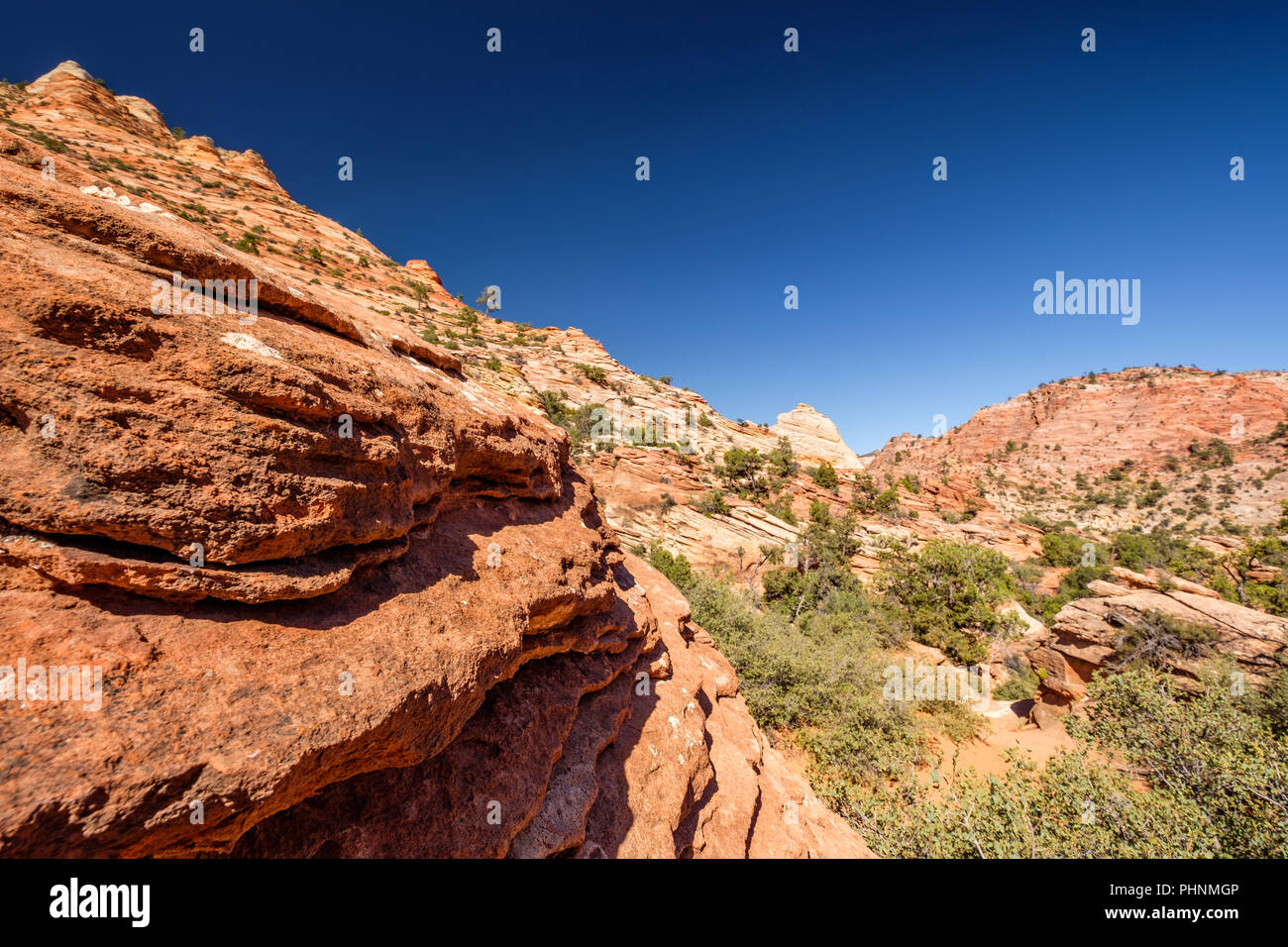 Landscape in Zion National Park Stock Photo - Alamy
