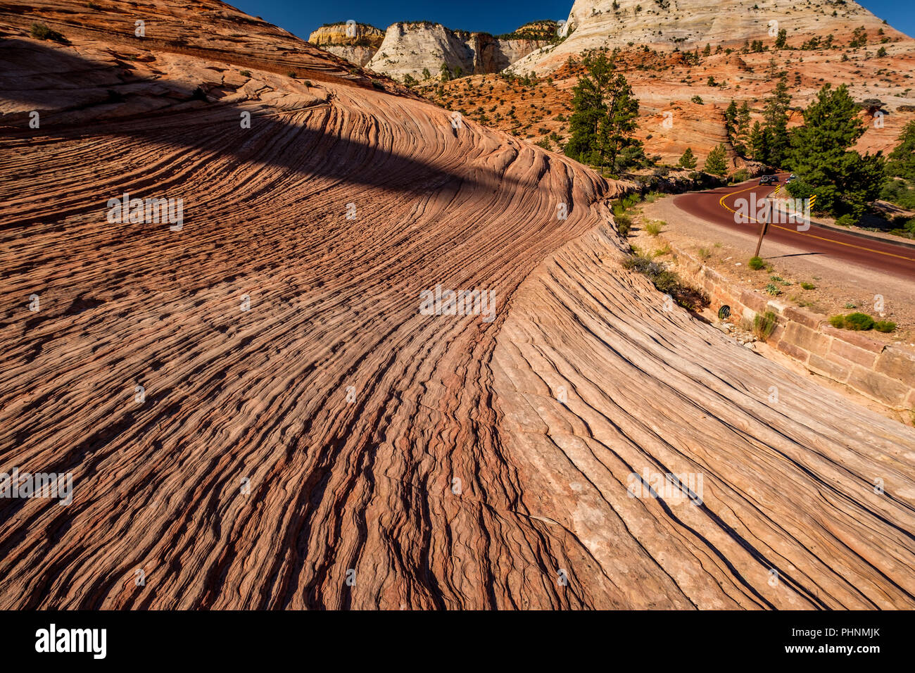 Landscape in Zion National Park Stock Photo - Alamy