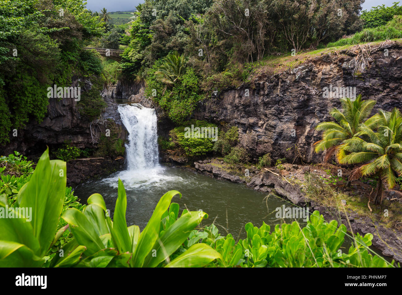 Rainforest waterfall on maui hi-res stock photography and images - Alamy