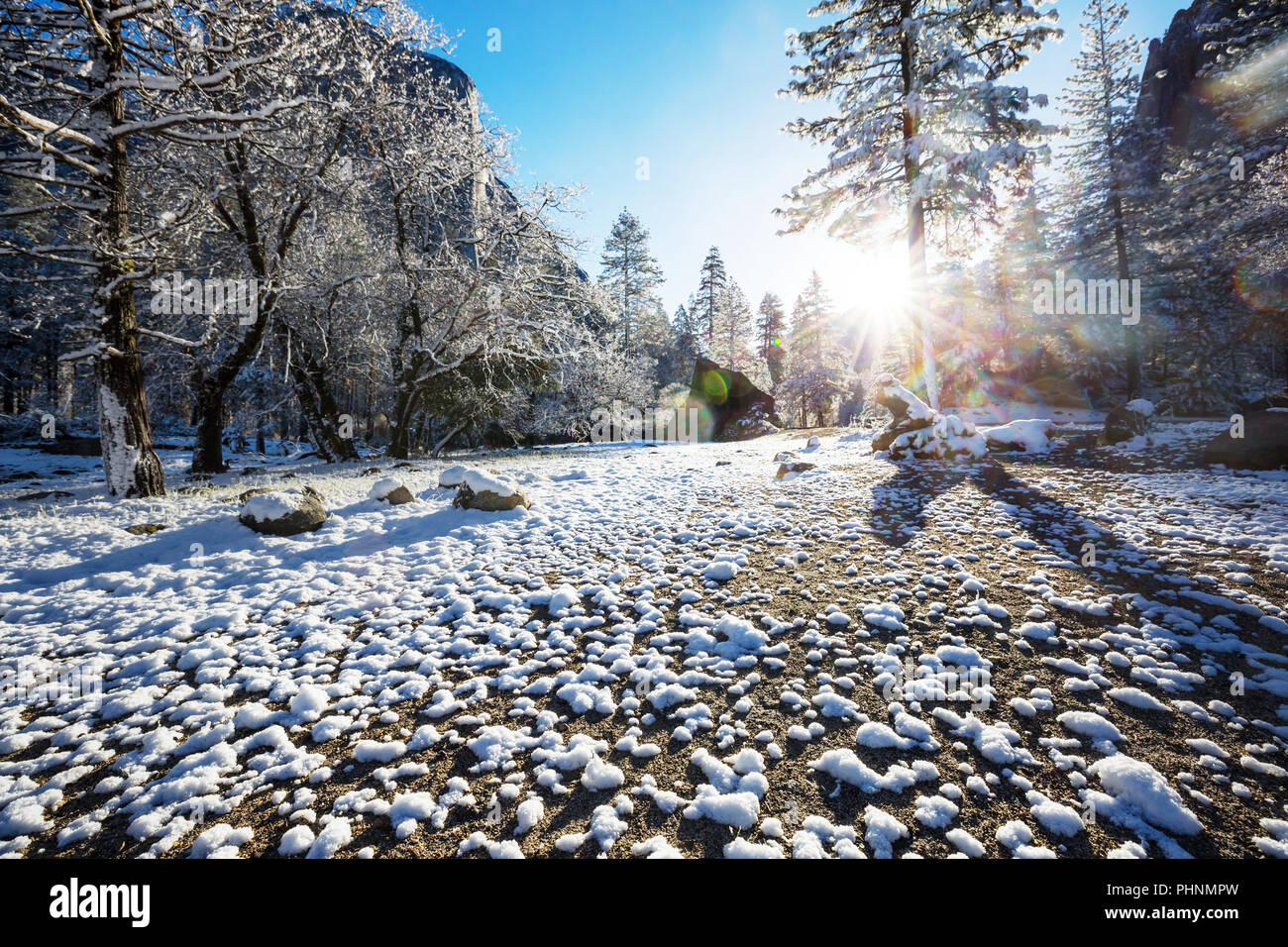 Early spring in Yosemite Stock Photo - Alamy