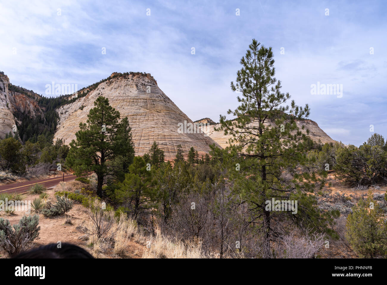Checkerboard Mesa at Zion national park Stock Photo - Alamy