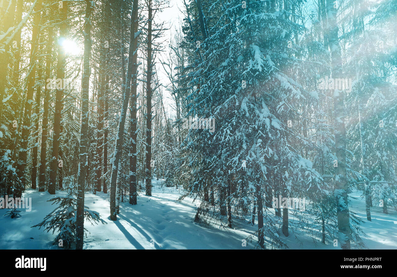 winter rural landscape Stock Photo - Alamy