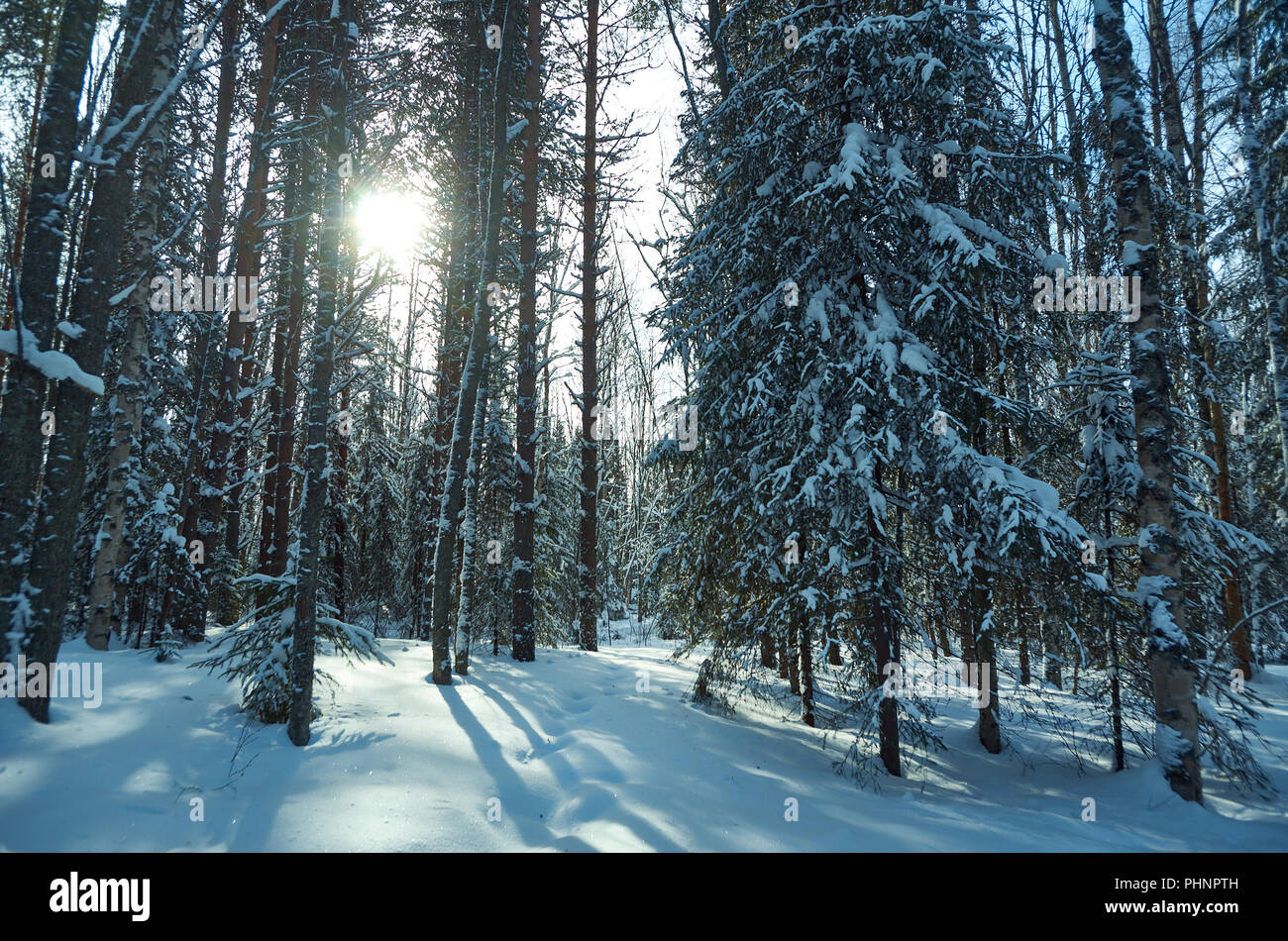 winter rural landscape Stock Photo - Alamy
