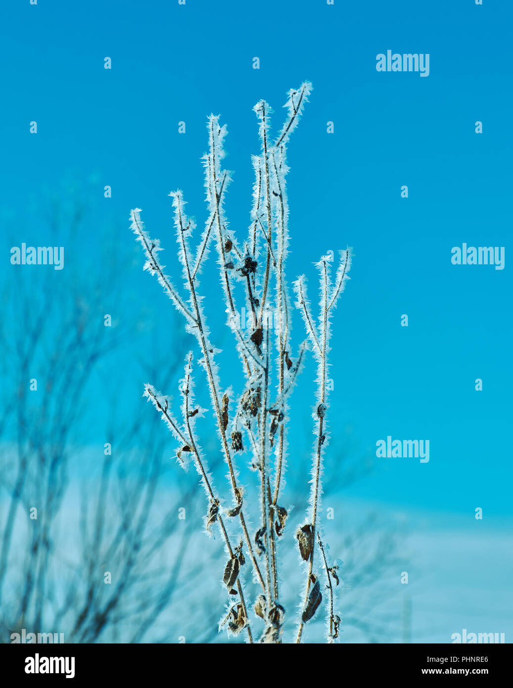 Crystal wonderland hi-res stock photography and images - Alamy