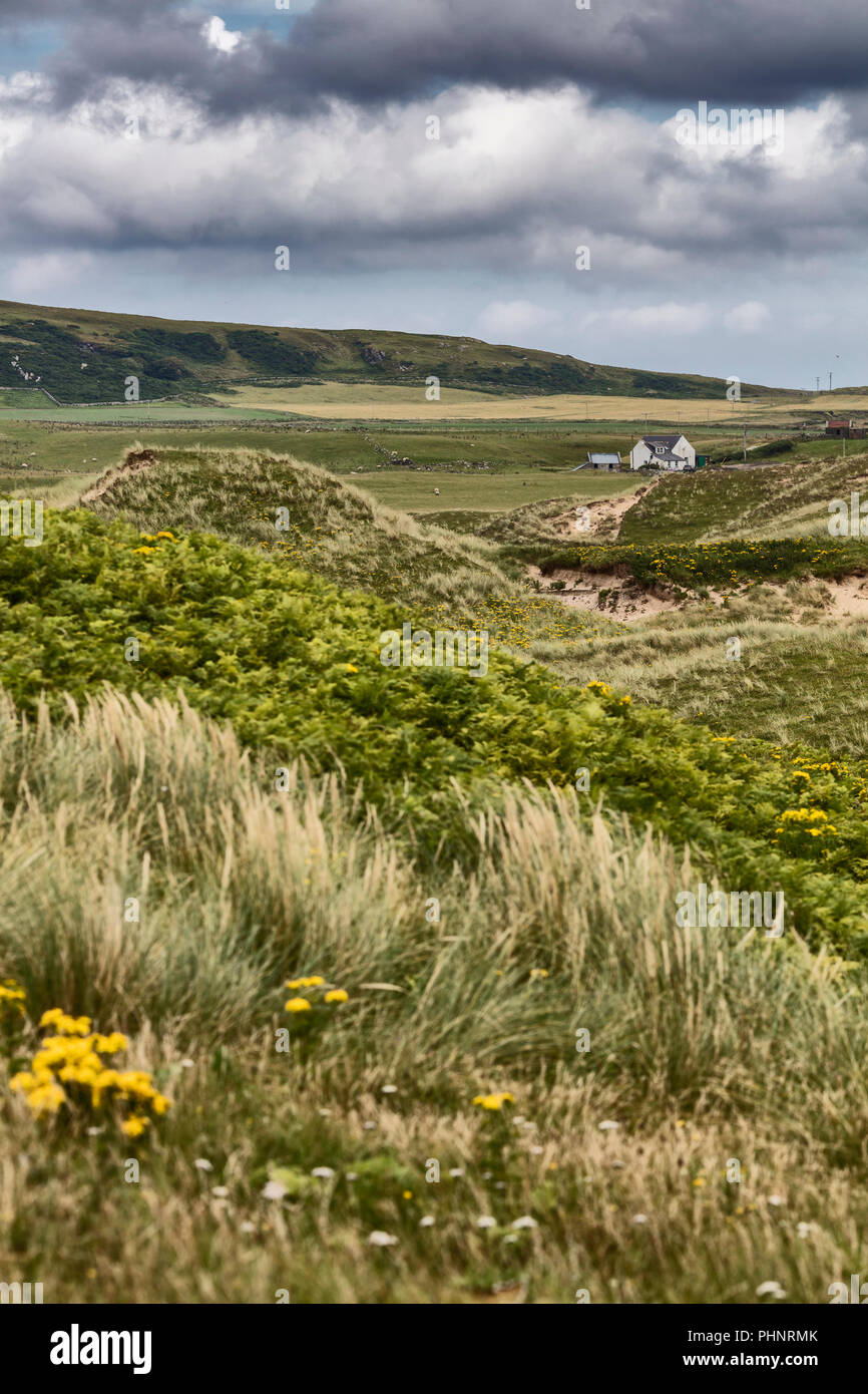 Islay, Inner Hebrides, Argyll, Scotland, UK Stock Photo - Alamy