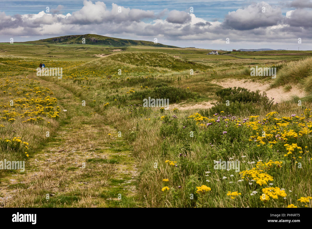 Islay, Inner Hebrides, Argyll, Scotland, UK Stock Photo - Alamy