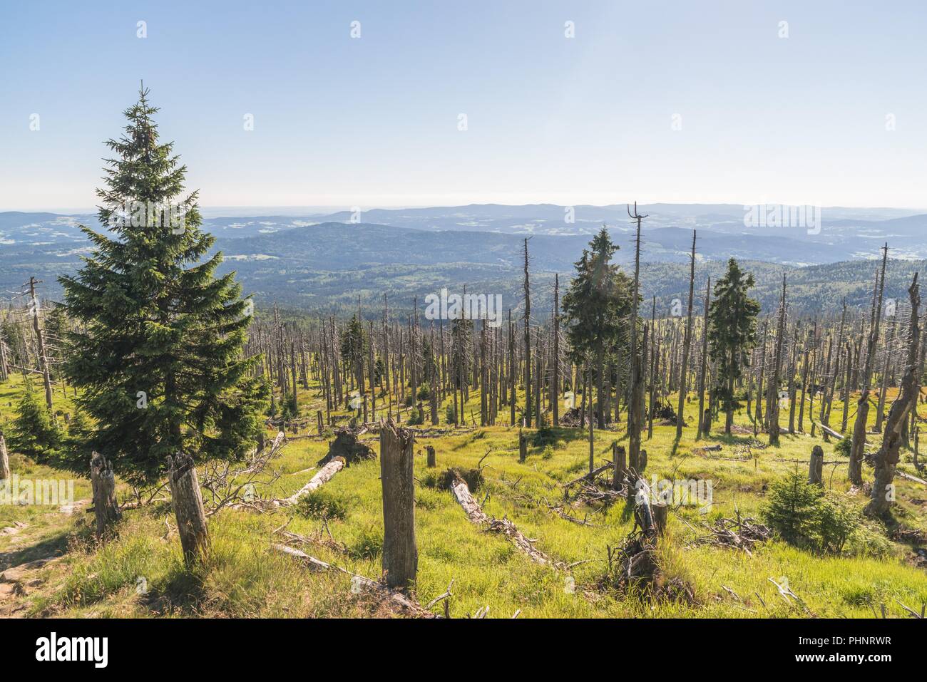Landscape on the mountain of great Rachel in the Bavarian Forest ...
