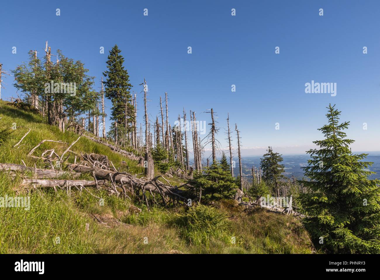 Landscape on the mountain of great Rachel in the Bavarian Forest ...