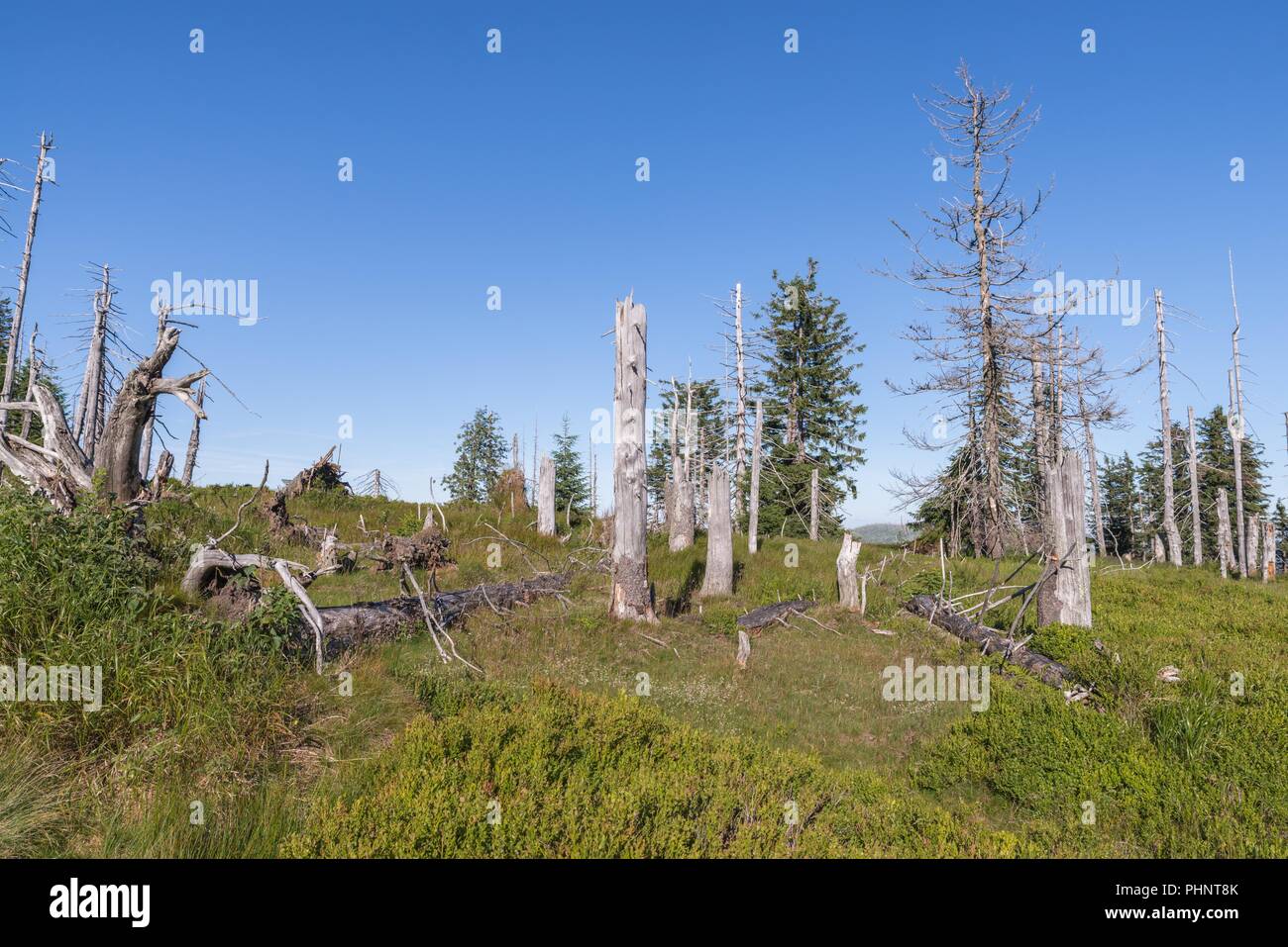 Landscape on the mountain of great Rachel in the Bavarian Forest ...