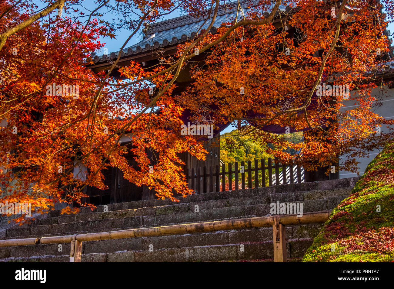 Autumn visit in Manshu-in Temple, Kyoto, Japan Stock Photo - Alamy