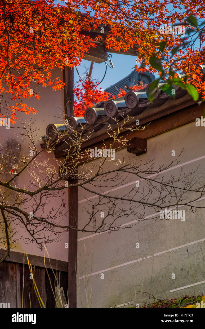 Autumn visit in Manshu-in Temple, Kyoto, Japan Stock Photo - Alamy