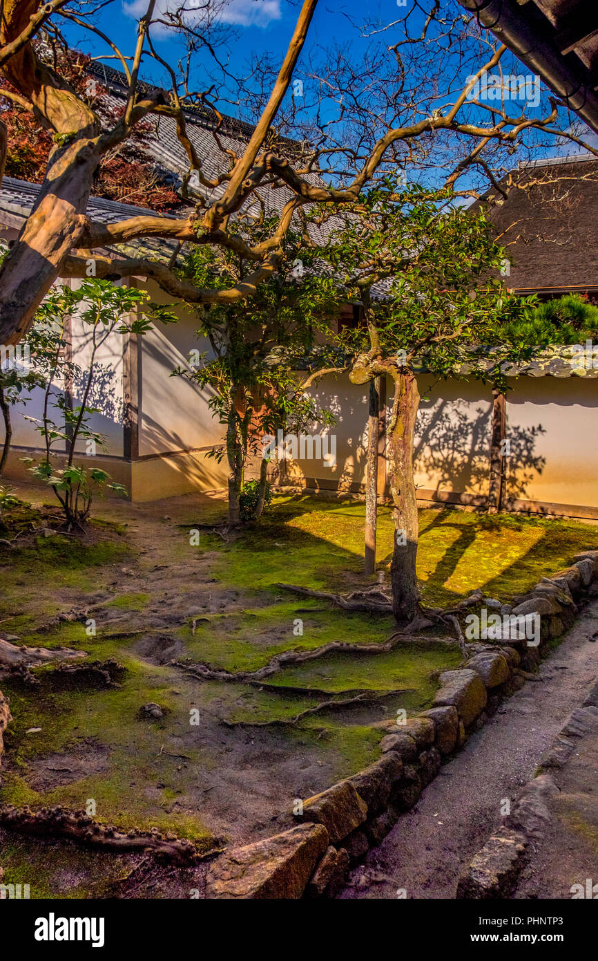 Autumn visit in Manshu-in Temple, Kyoto, Japan Stock Photo - Alamy