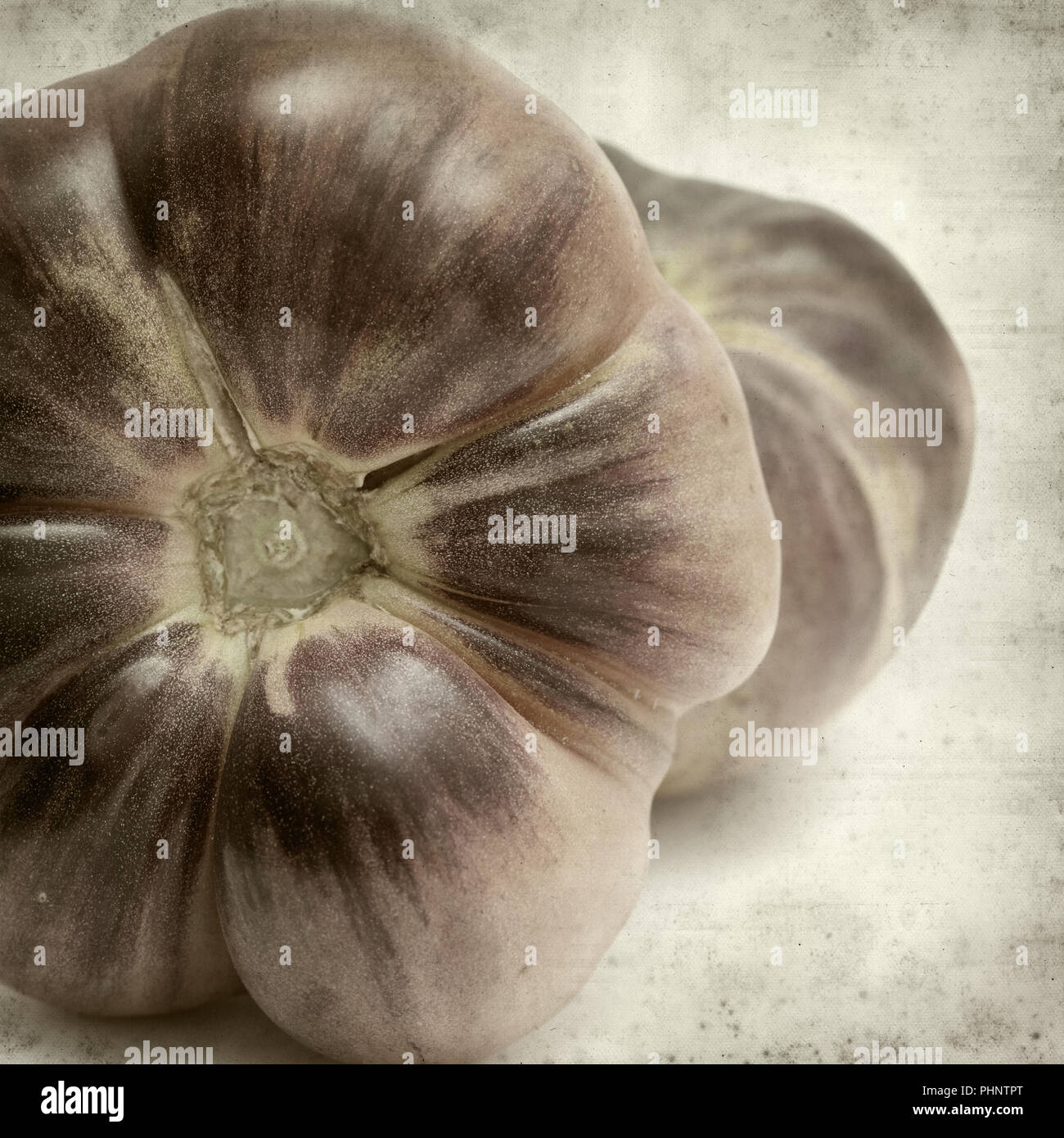 textured old paper background with blue tomatoes Stock Photo - Alamy