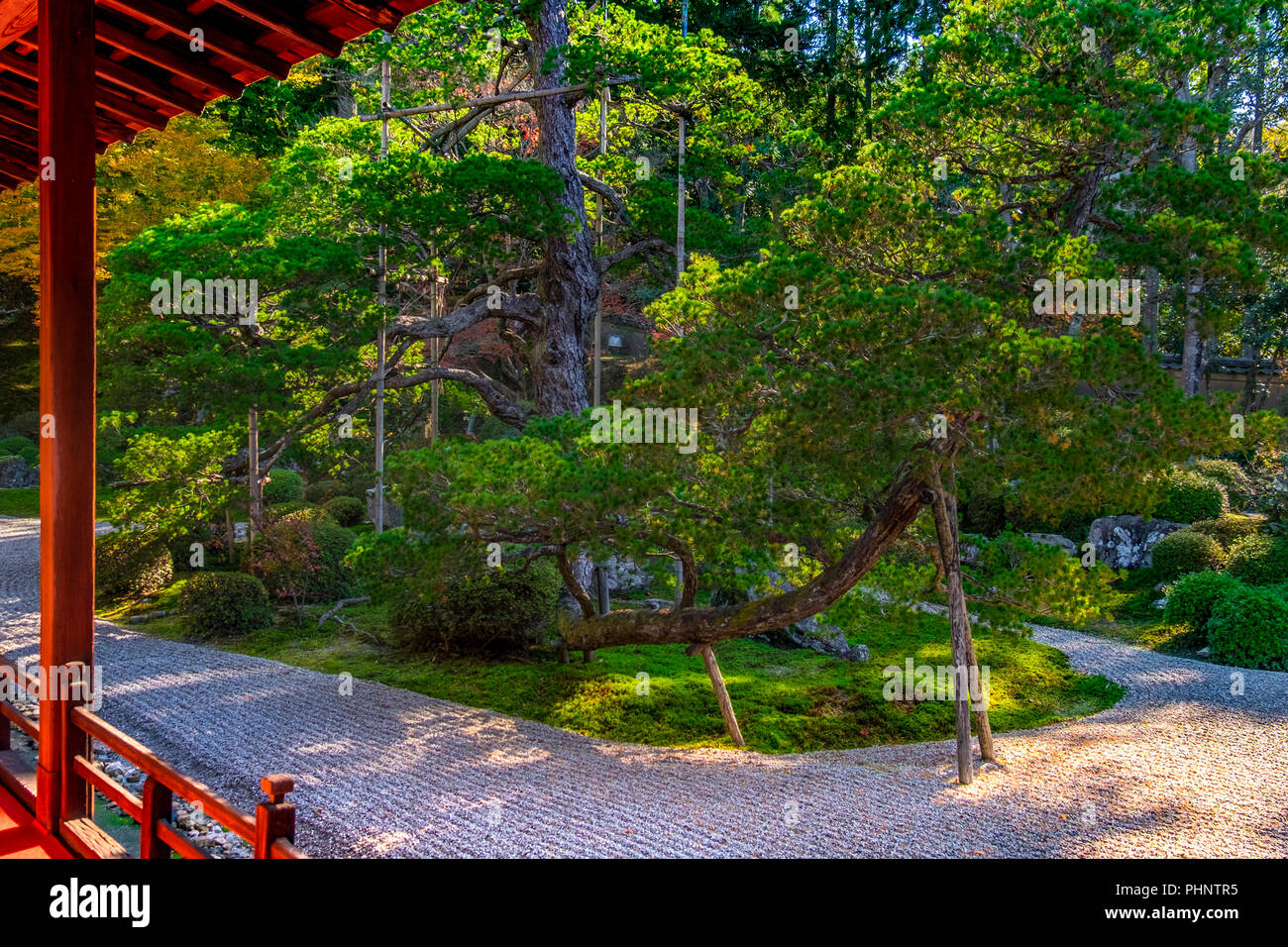 Autumn visit in Manshu-in Temple, Kyoto, Japan Stock Photo - Alamy