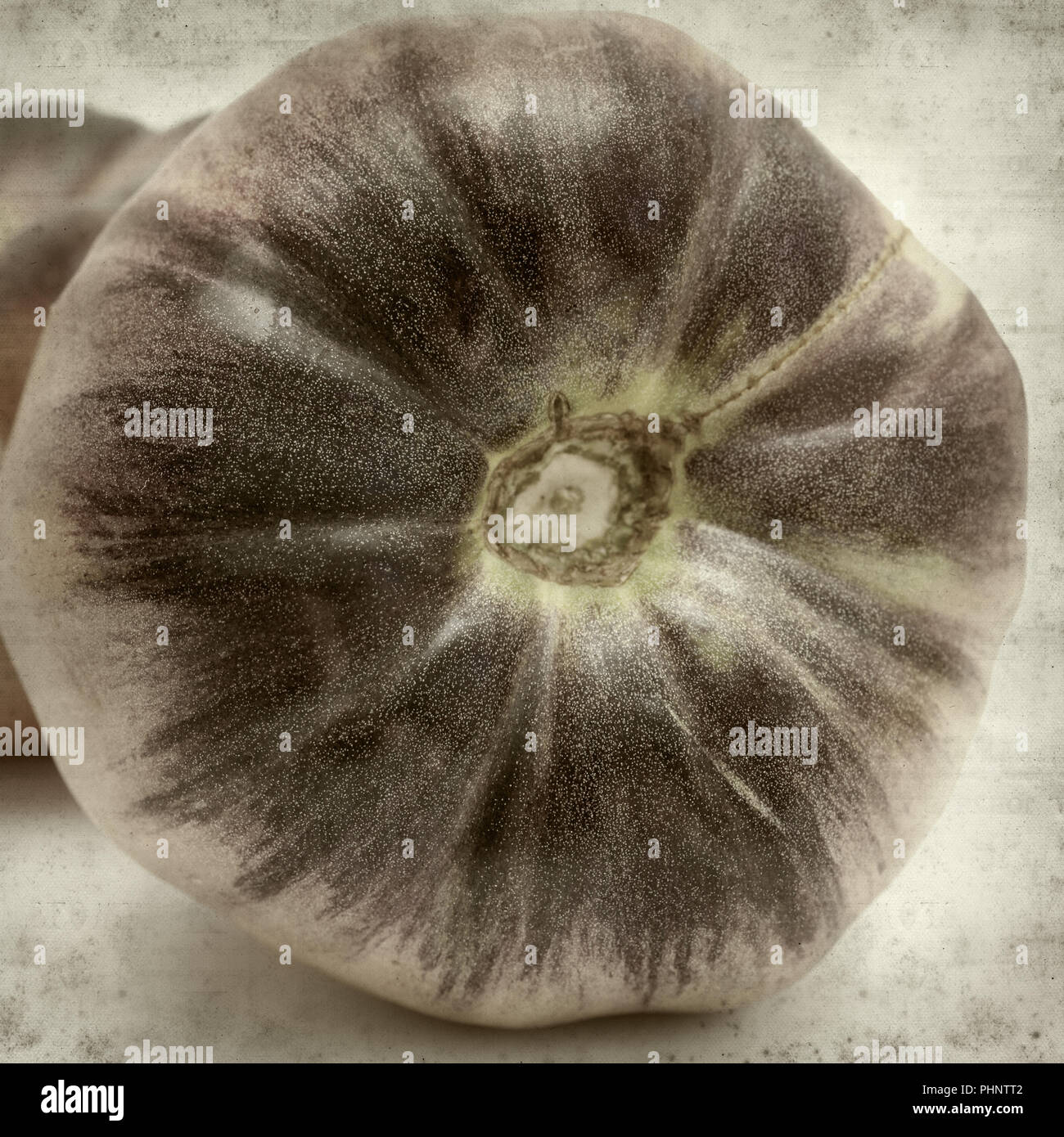 textured old paper background with blue tomatoes Stock Photo - Alamy