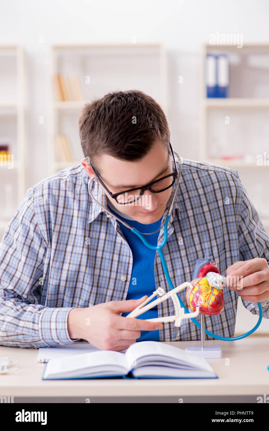 Medical student studying heart in classroom during lecture Stock Photo ...