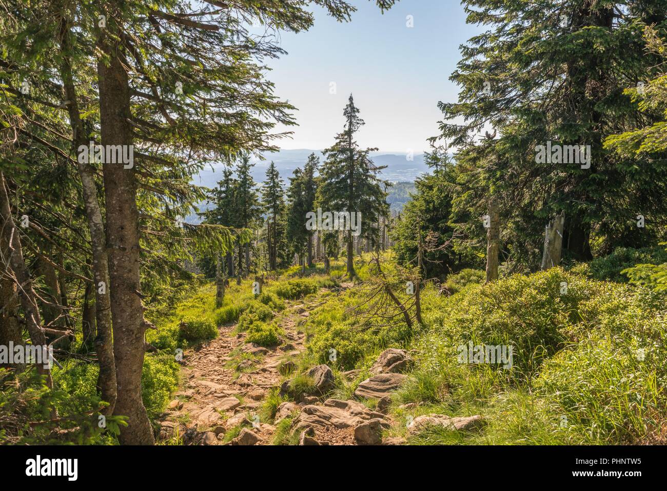 Landscape on the mountain of great Rachel in the Bavarian Forest ...