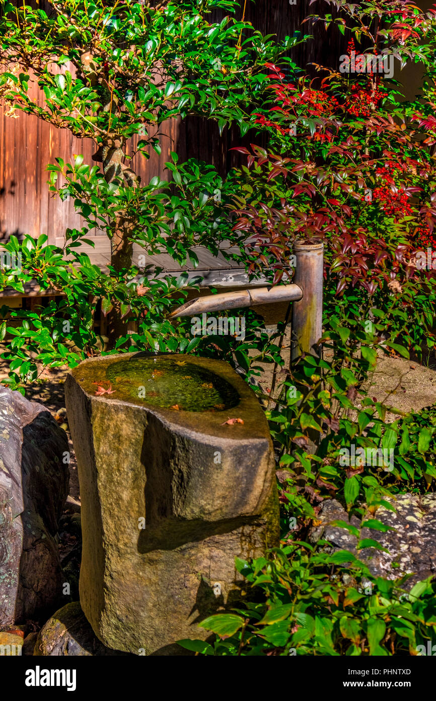 Autumn visit in Manshu-in Temple, Kyoto, Japan Stock Photo - Alamy
