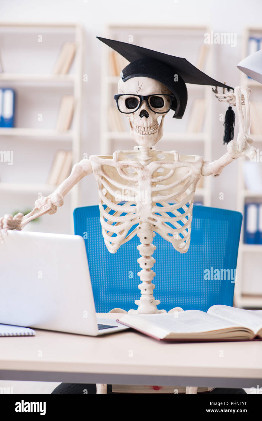 Student skeleton preparing for exams Stock Photo - Alamy