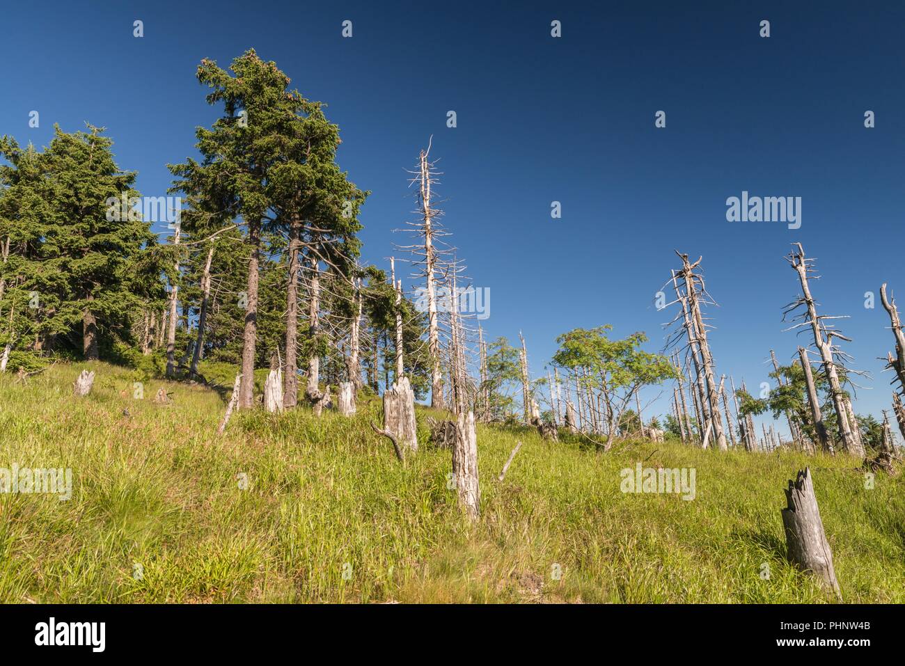 Landscape on the mountain of great Rachel in the Bavarian Forest ...