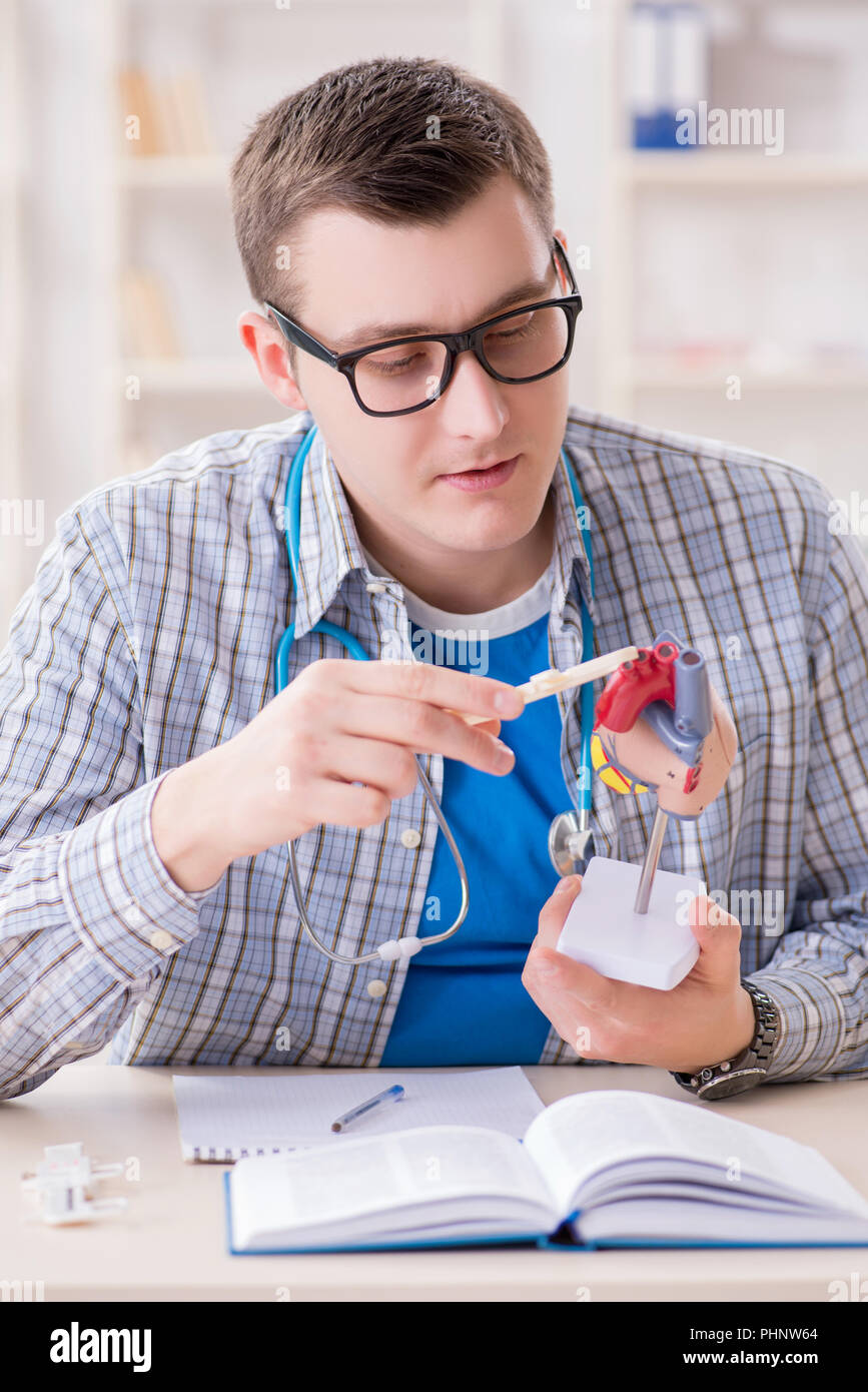 Medical student studying heart in classroom during lecture Stock Photo ...