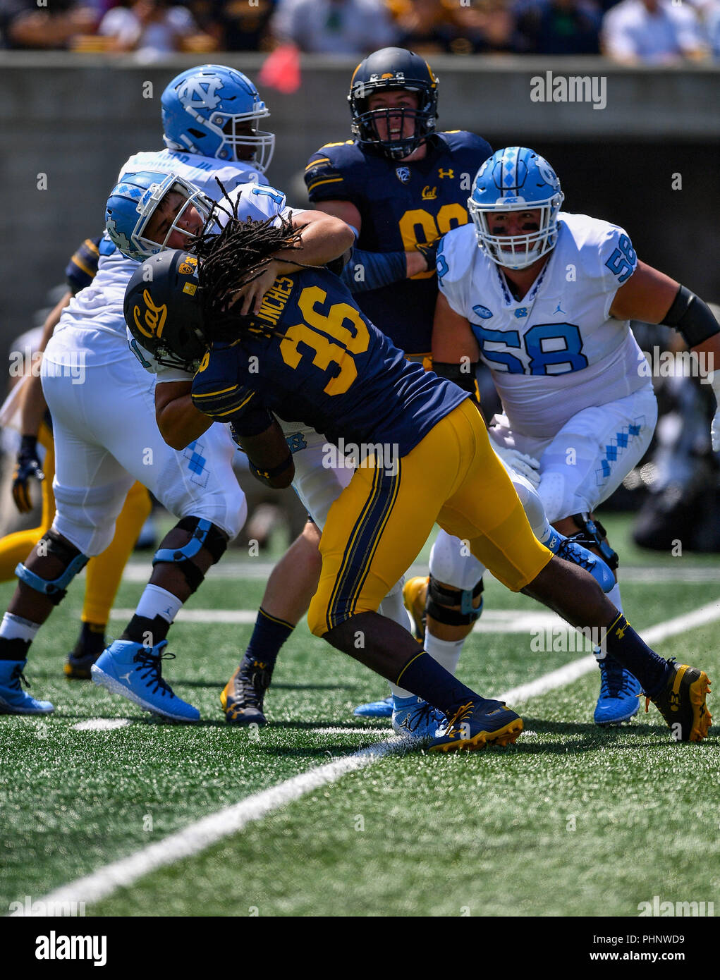 Alex brown bears hi-res stock photography and images - Alamy