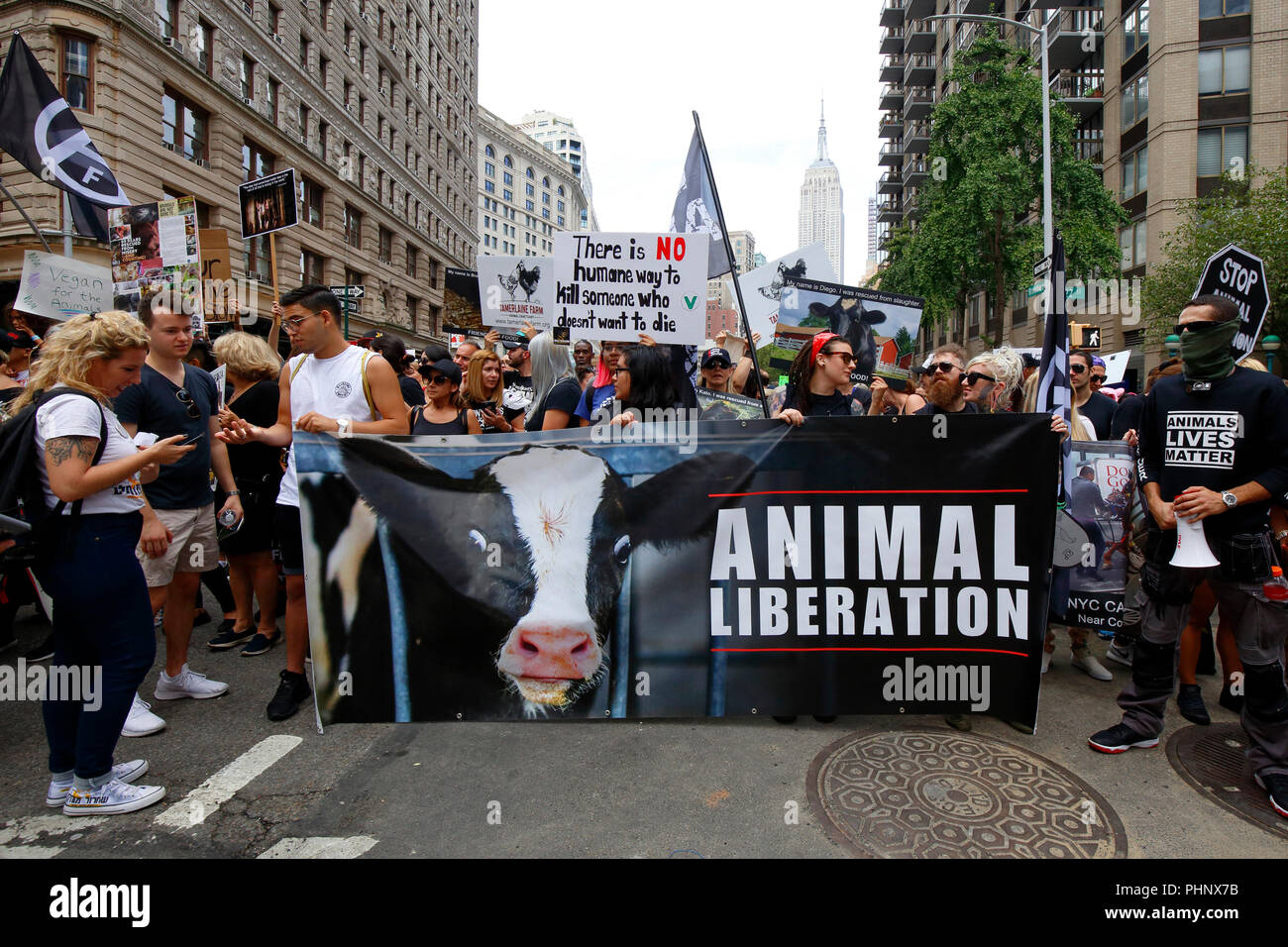 Animal liberation front hi-res stock photography and images - Alamy