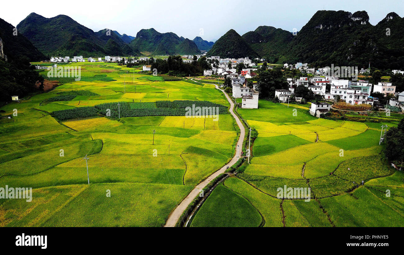 Longlin hi-res stock photography and images - Alamy