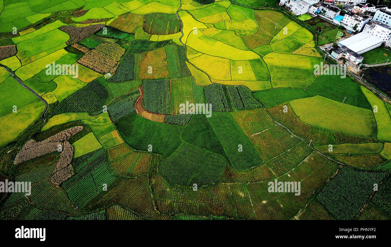 Longlin hi-res stock photography and images - Alamy