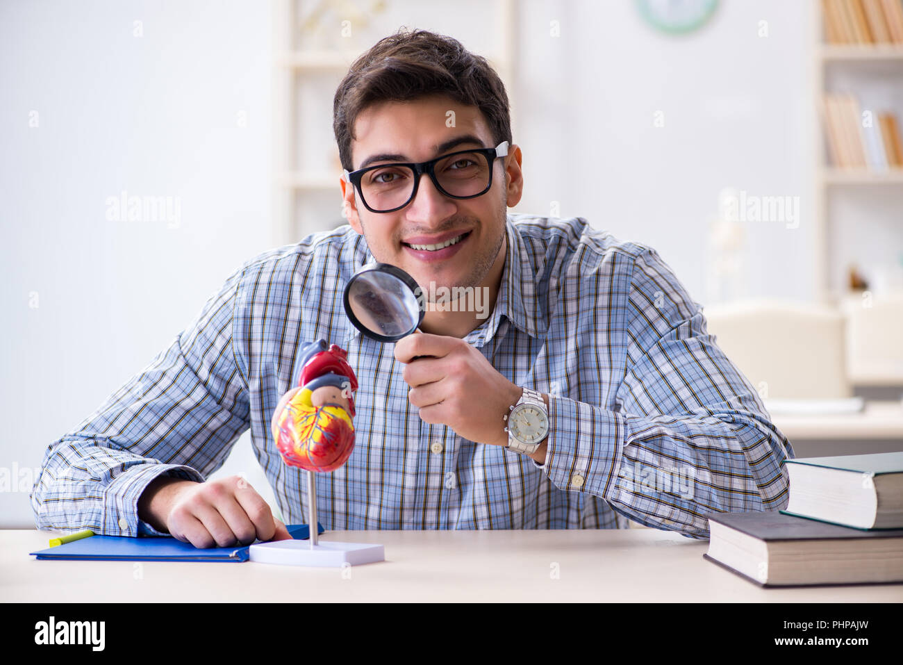 Student studying various parts of heart Stock Photo - Alamy